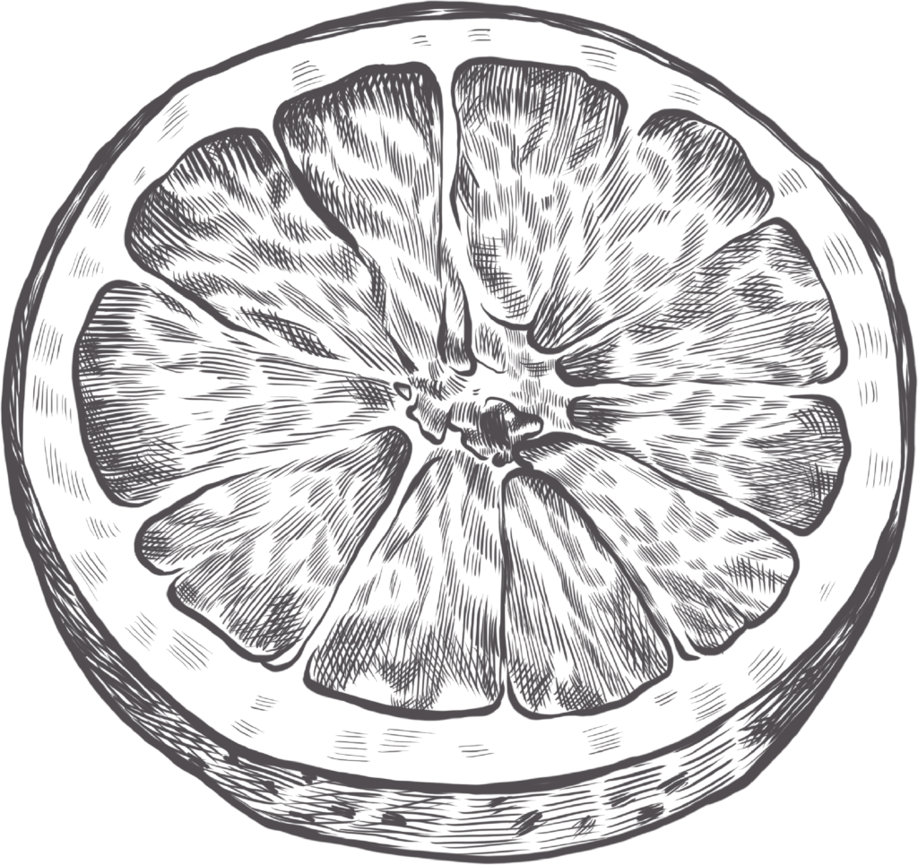 Single Dish – Shack503